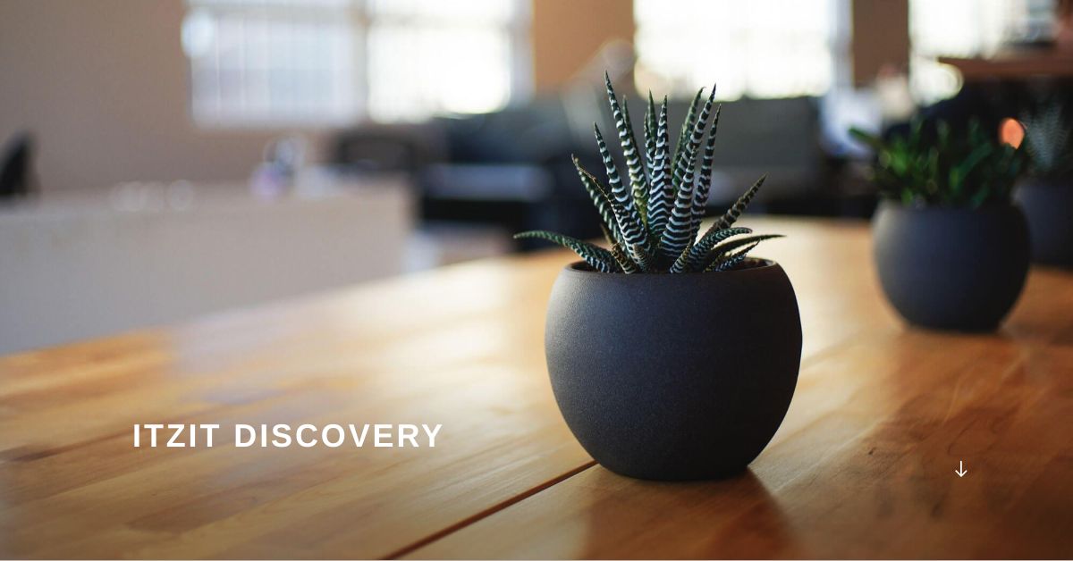 Itzit Discovery